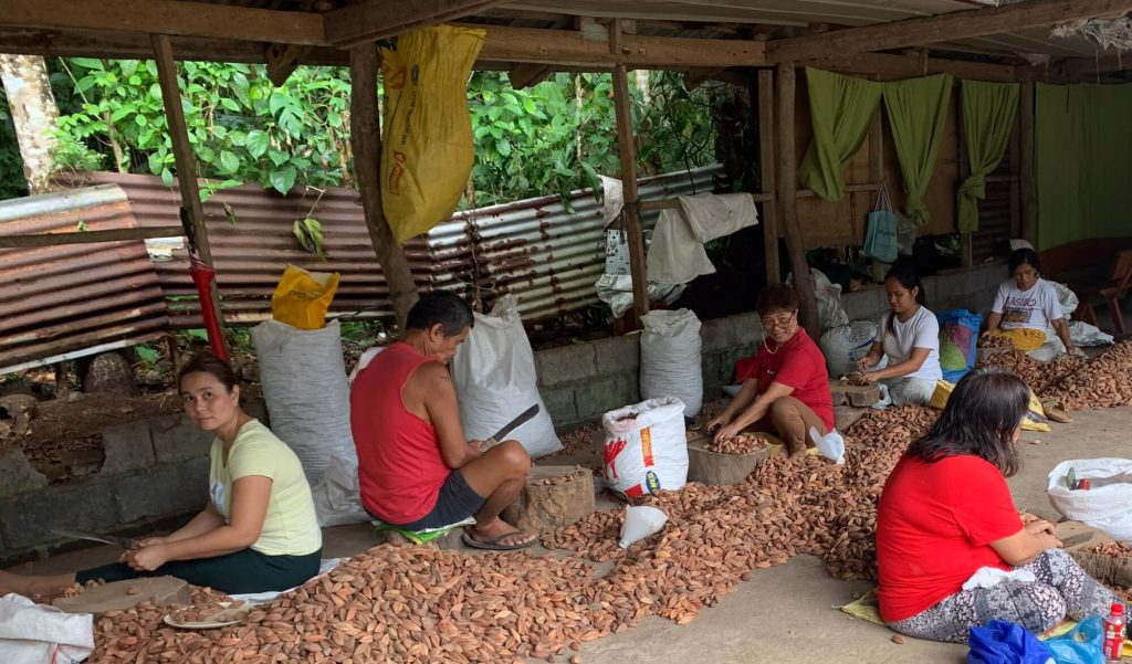 Home | Pili Pi Nuts - Number One Pili Nut Processor and Exporter in the ...